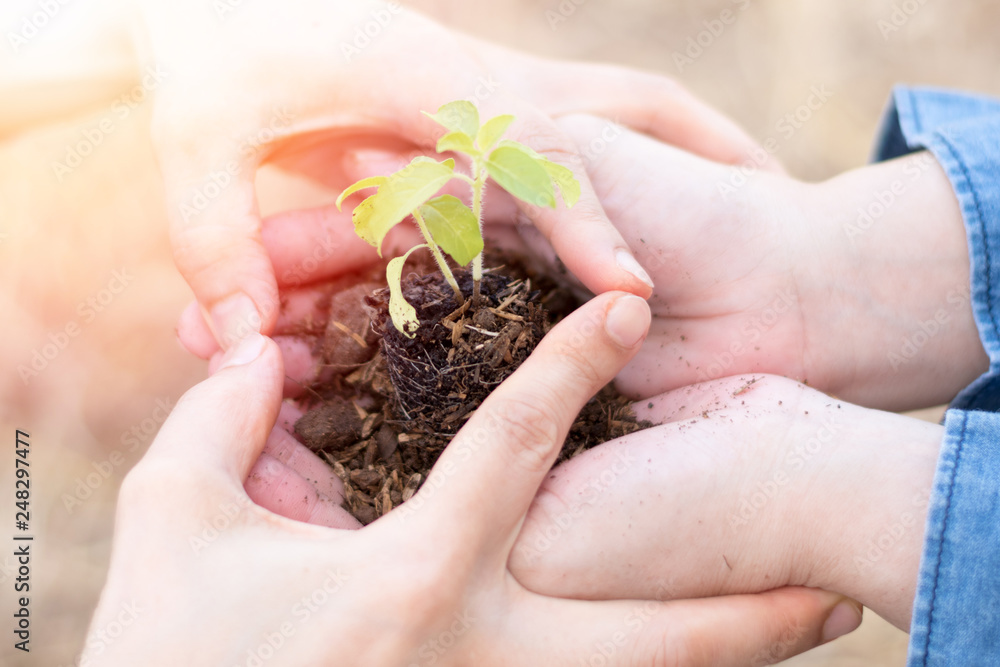 World environment day reforesting eco bio arbor CSR ESG ecosystems ...