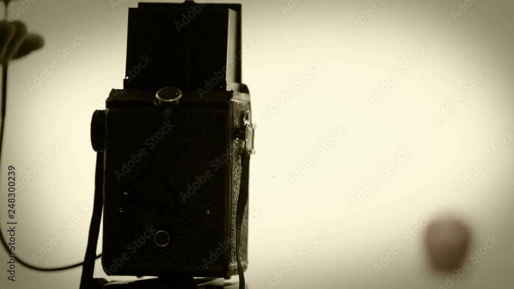 Process of shooting still life of apple with vintage 50s camera with ...