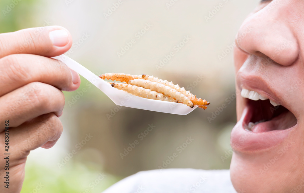 Food Insects: Man eating bamboo worm insect on spoon. Bamboo ...