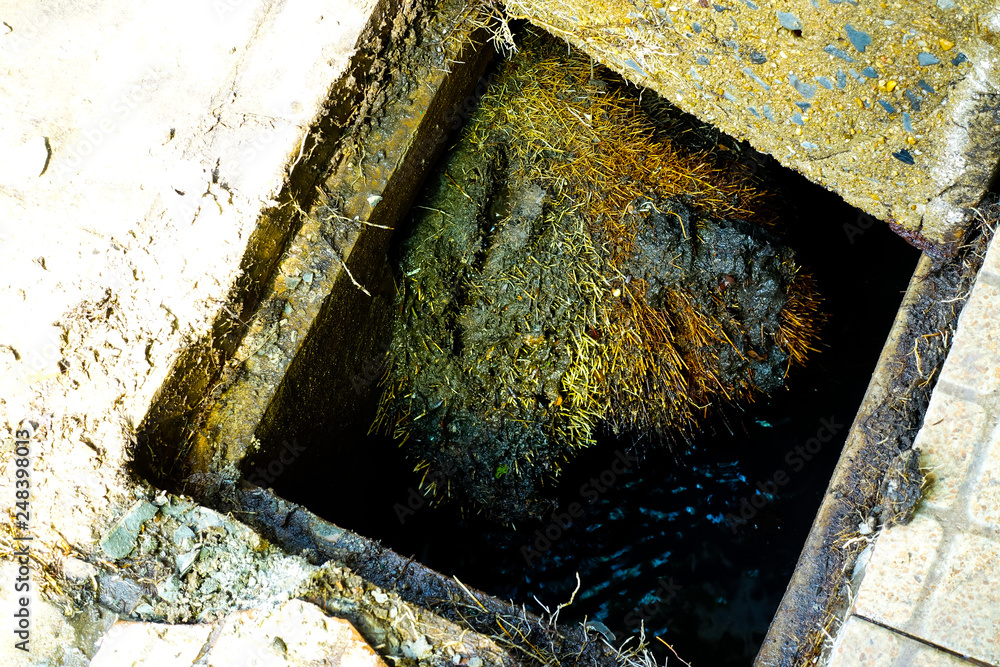 Blocked drainage pipe caused by ingress of tree roots Stock Photo ...