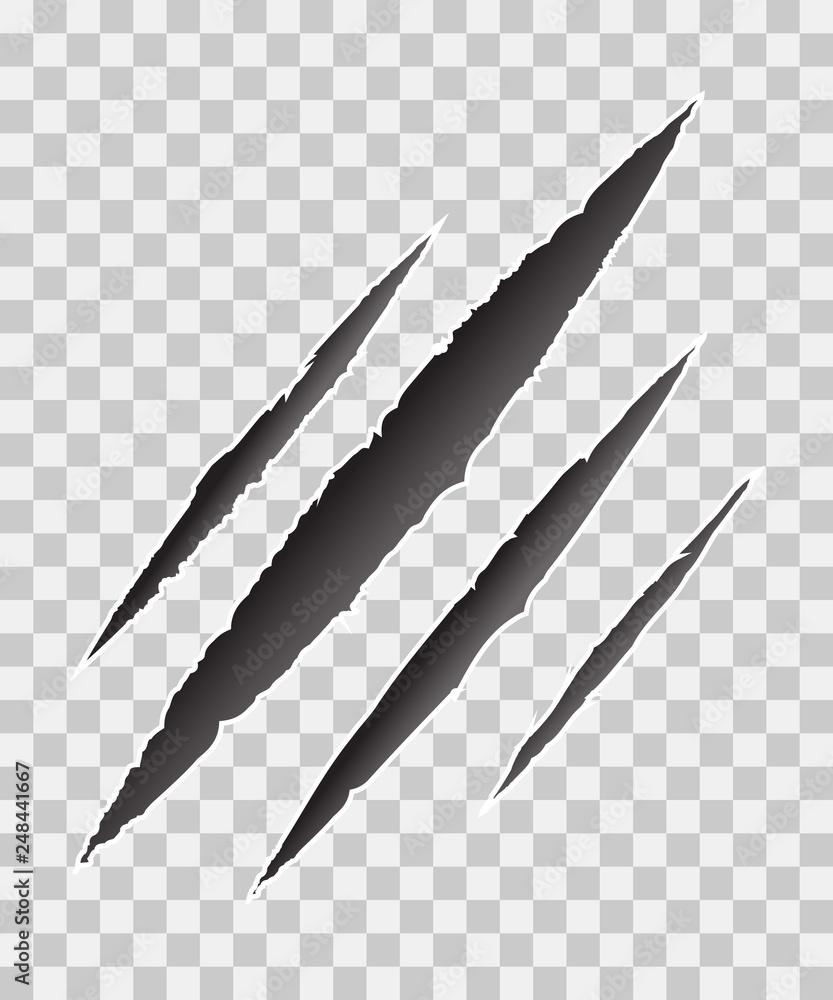 Scratch Marks Vector