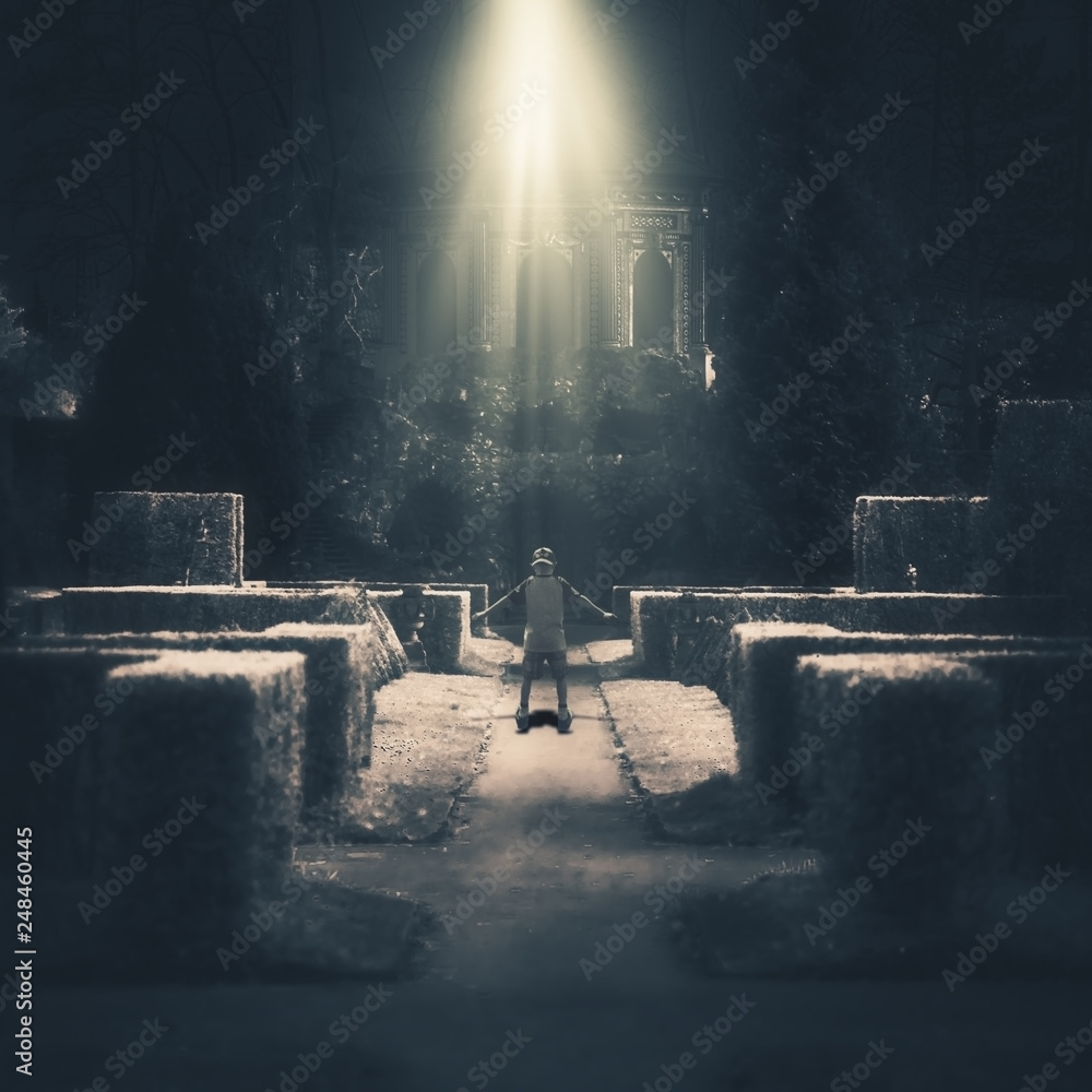 Light And Dark Landscape