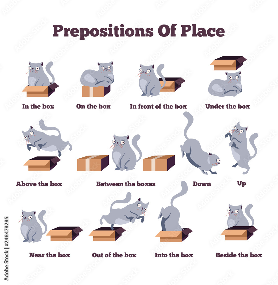 Cute cat character in different poses with box. Prepositions of place ...