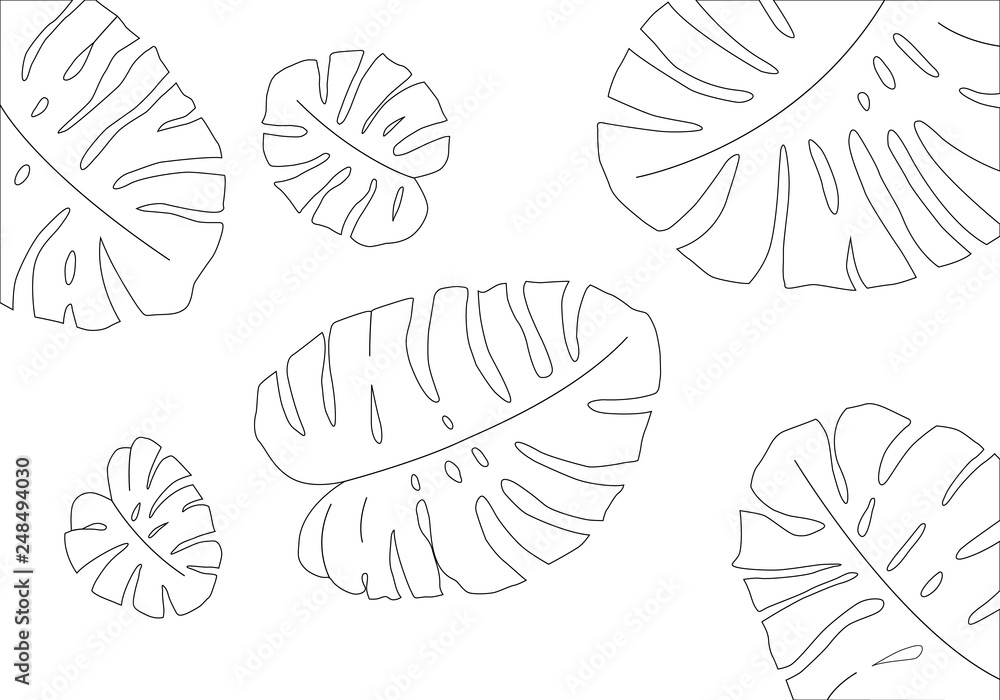Monstera leaves outline Stock Vector | Adobe Stock