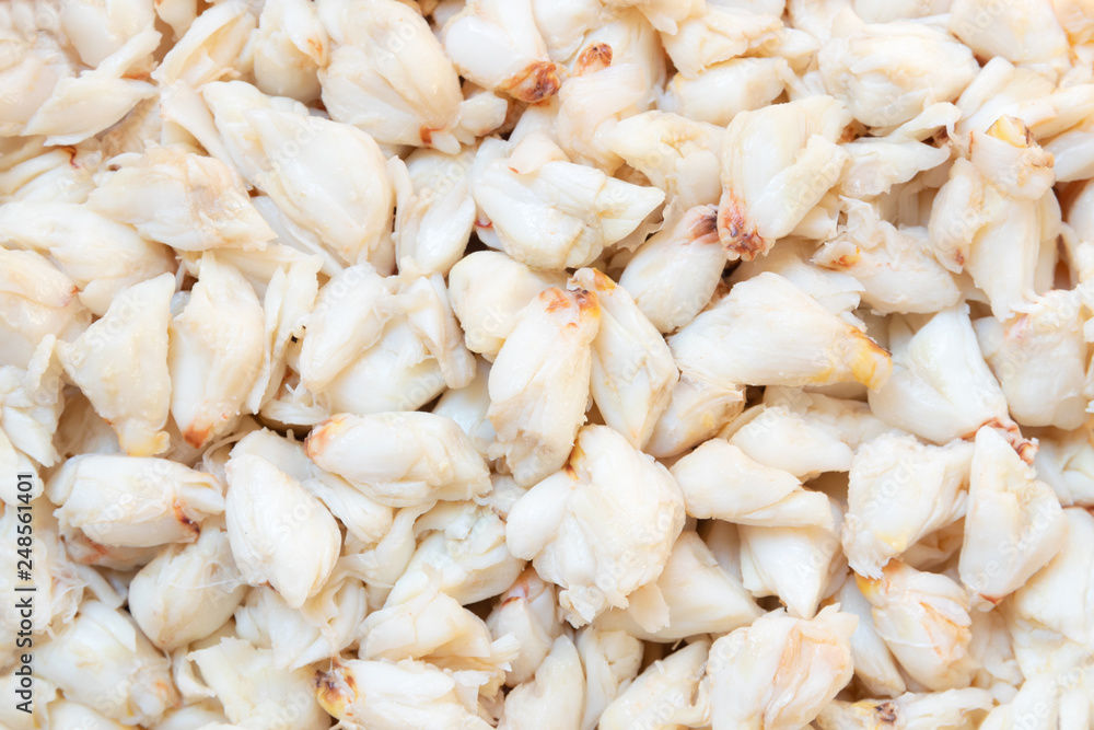 Steamed blue swimmer crab meat 素材庫相片 | Adobe Stock