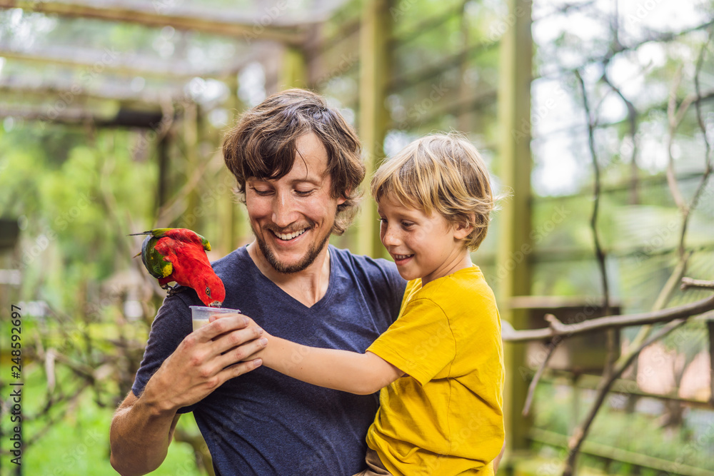 Dad and son feed the parrot in the park. Spending time with kids ...