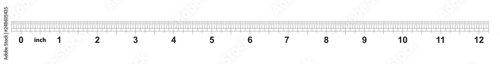 12 inch ruler. The price of division - 32 divisions by inch. Exact ...