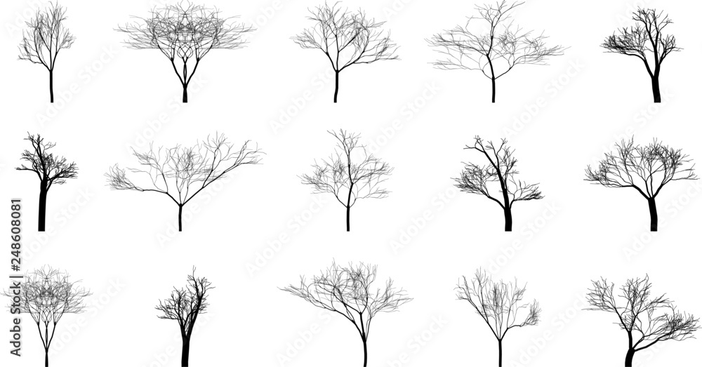 Set of black bare trees on an empty background Stock Vector | Adobe Stock