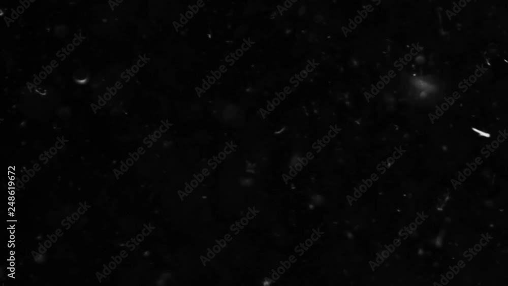 Vidéo Stock Floating organic real Dust on black background footage for ...