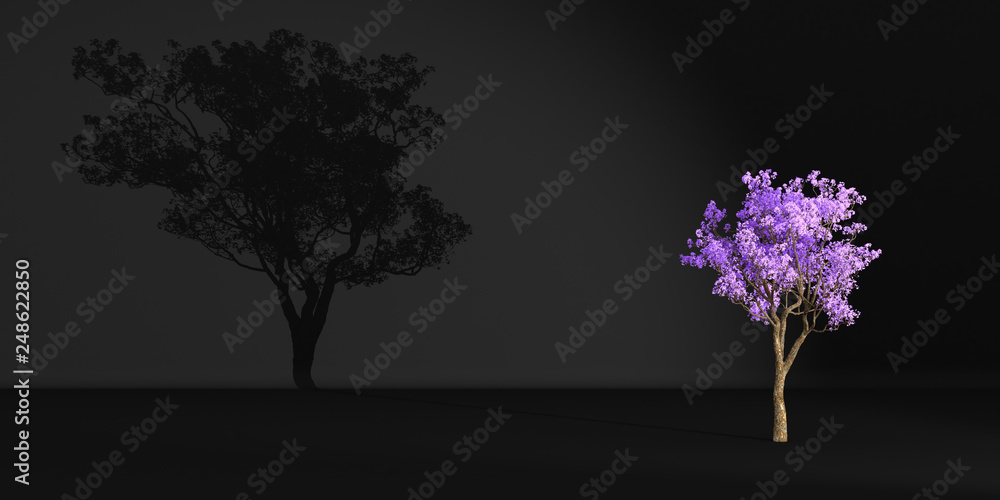 purple tree casts a shadow on a dark wall, 3d illustration Stock ...