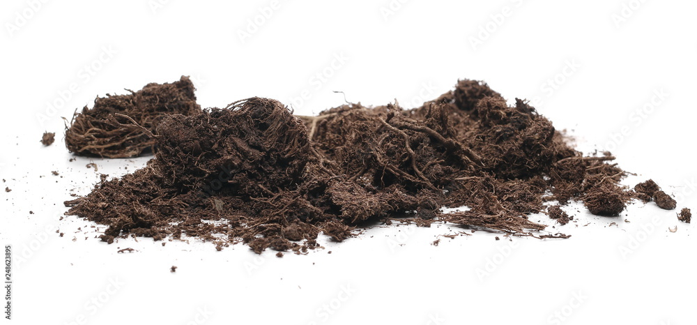 Soil, dirt with roots isolated on white background Stock Photo | Adobe ...