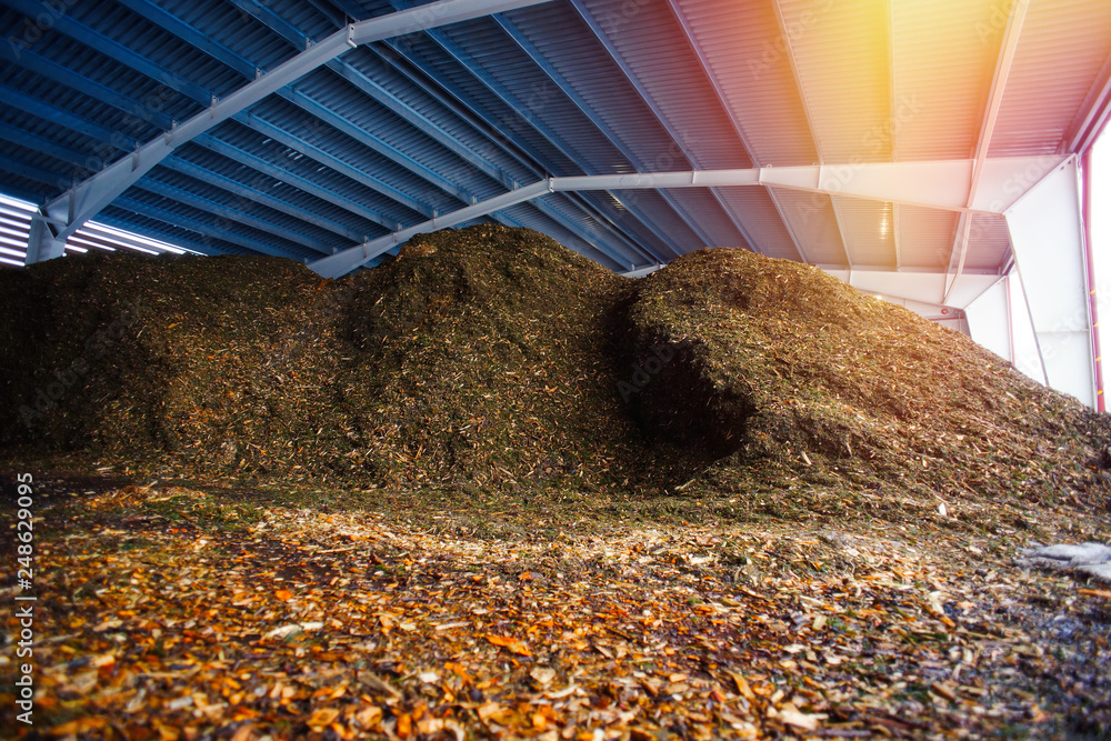 inside storage of wooden fuel (biomass) at power plant Stock Photo ...