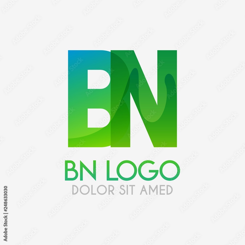 The BN logo with striking colors and gradations, modern and simple for ...