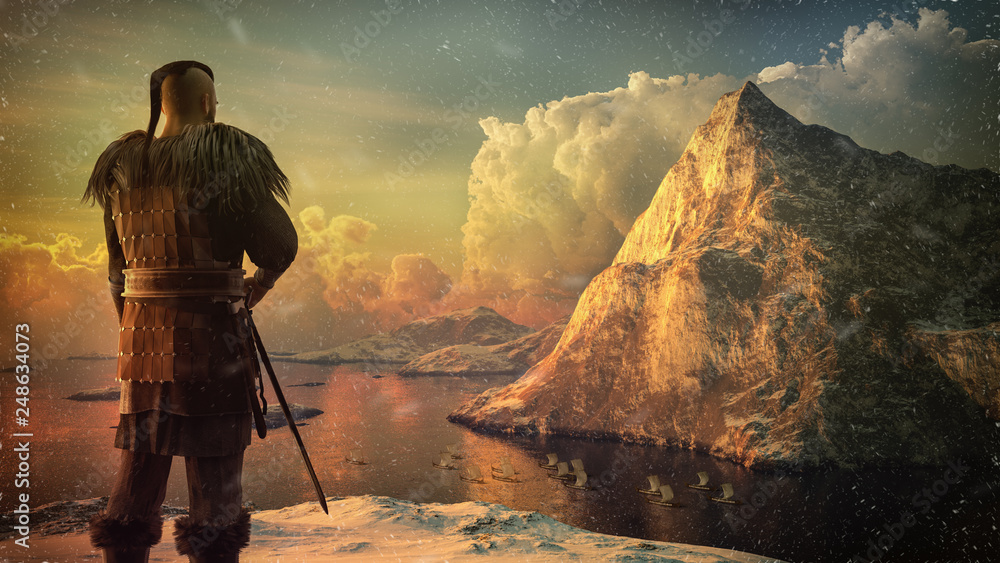 Viking warrior and ships Stock Illustration | Adobe Stock