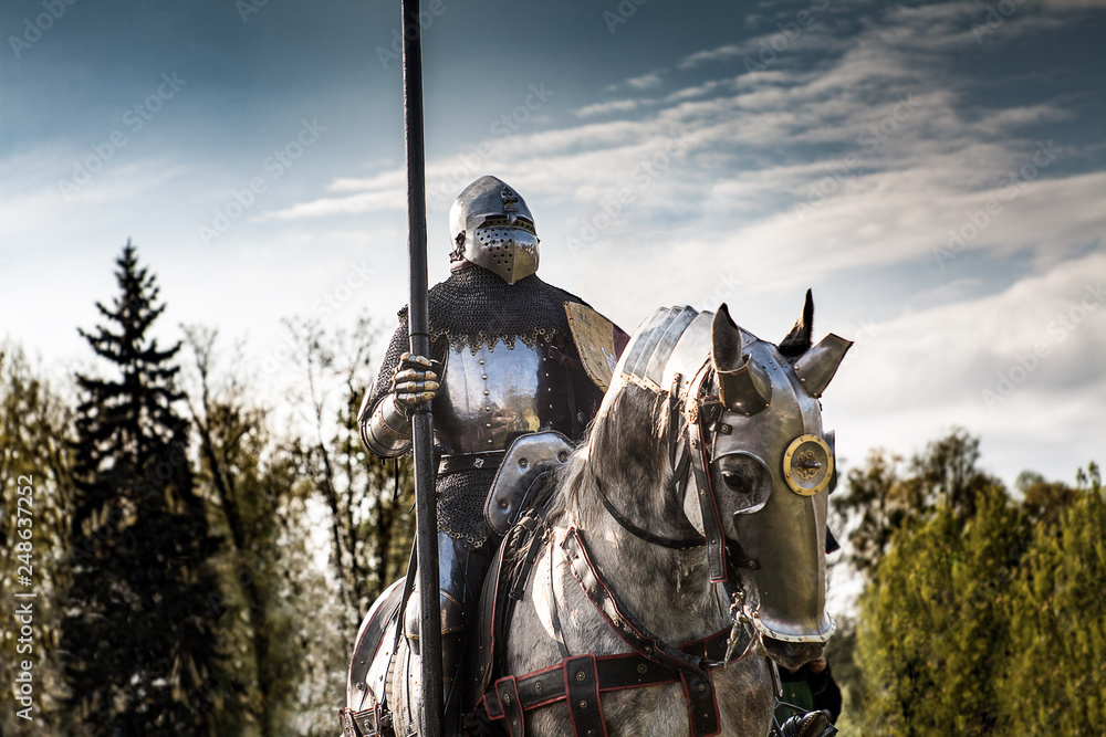 Knight on horseback. Horse in armor with knight holding lance. Horses ...