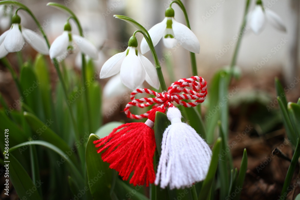 Snowdrops and martenitsa. Symbols of spring. White snowdrop flowers and ...