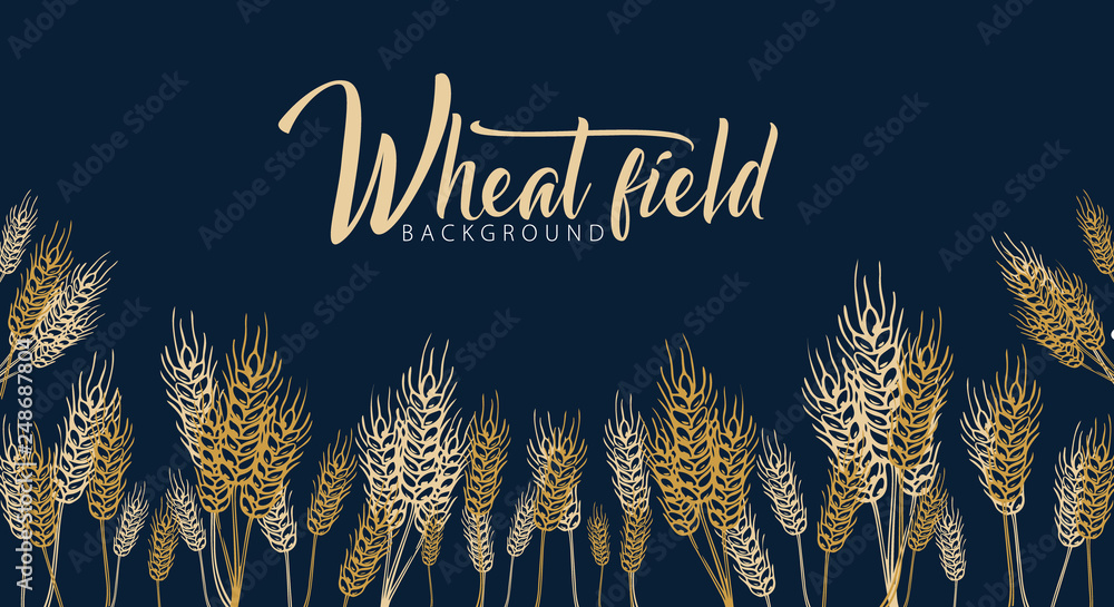 Bakery background with wheats. Linear graphic. Bread banner collection ...