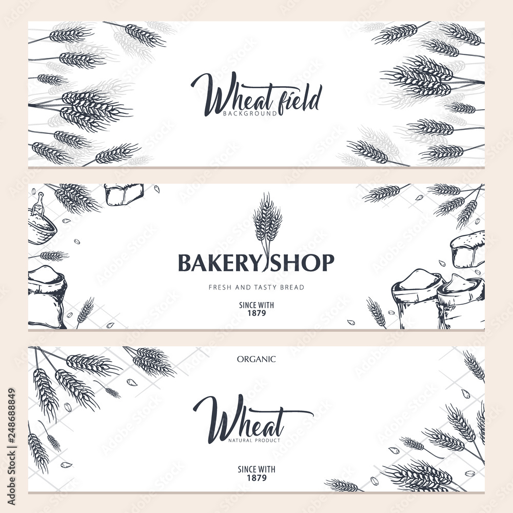 Set of Bakery backgrounds with wheats. Linear graphic. Bread banner ...