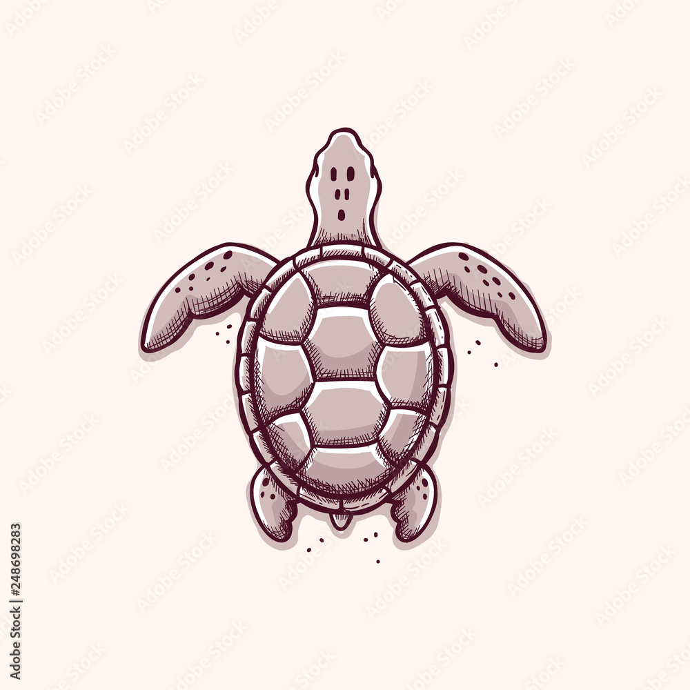 Sea turtle vintage drawing sketch vector illustration Stock Vector ...