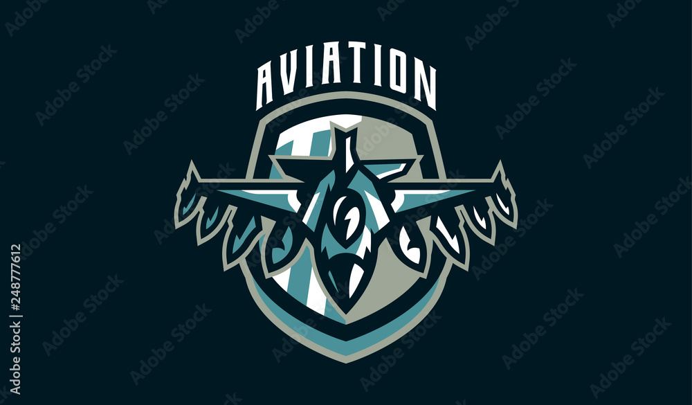 The emblem of a military aircraft. Aircraft logo. Military equipment ...