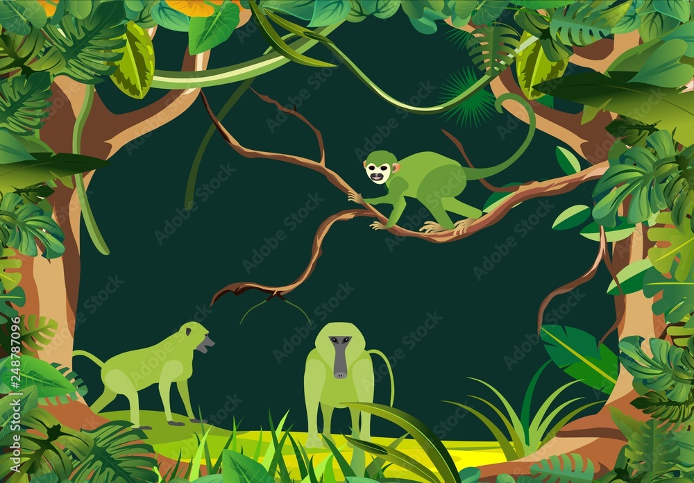 Monkey Jungle Background