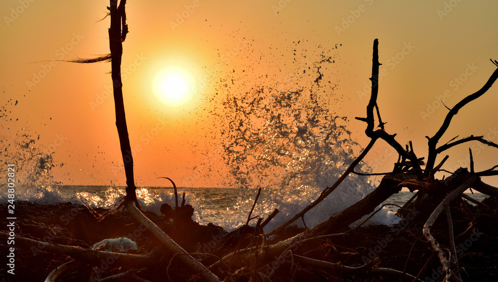 High Tidal Waves colliding with Sea Shore during sunset, showing the ...
