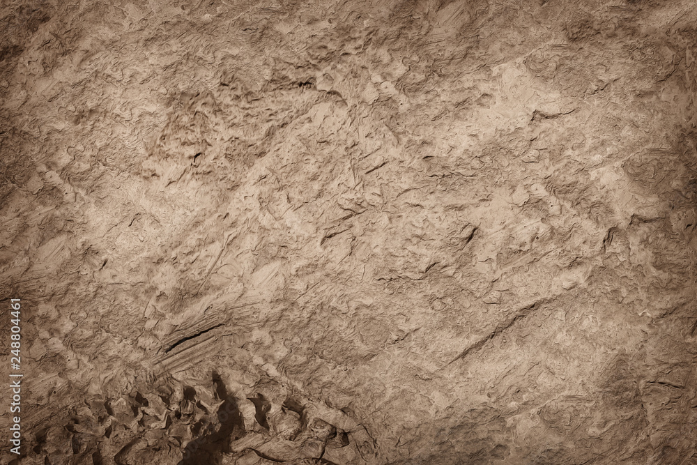 Some parts of artificial Dinosaur fossil background Stock Photo | Adobe ...