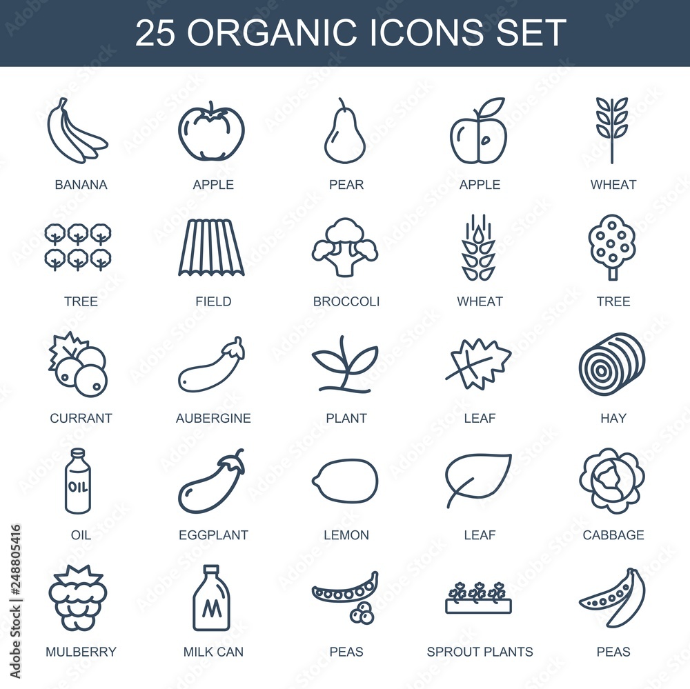 25 organic icons Stock Photo | Adobe Stock