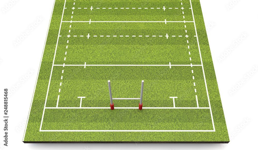 Rugby pitch with lines and goals. 3D Rendering Stock Illustration ...
