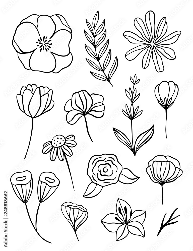 Flower Outline Vector | Best Flower Site