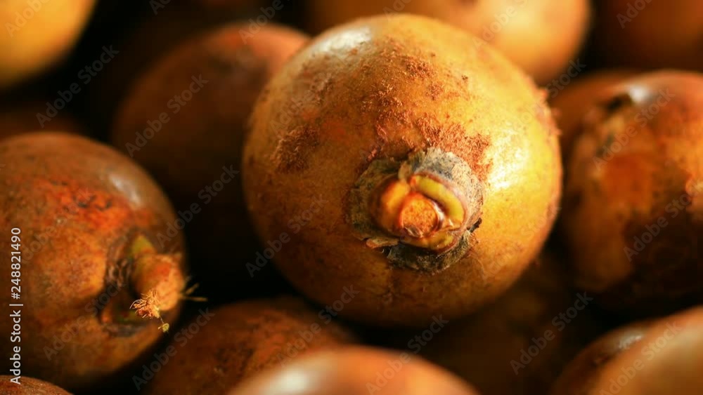 Tilt down close up shot of the fruit of coyol palm tree, on an oil ...