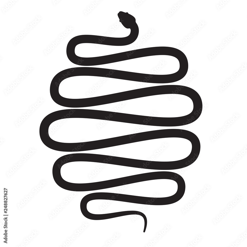 Python Snake Silhouette