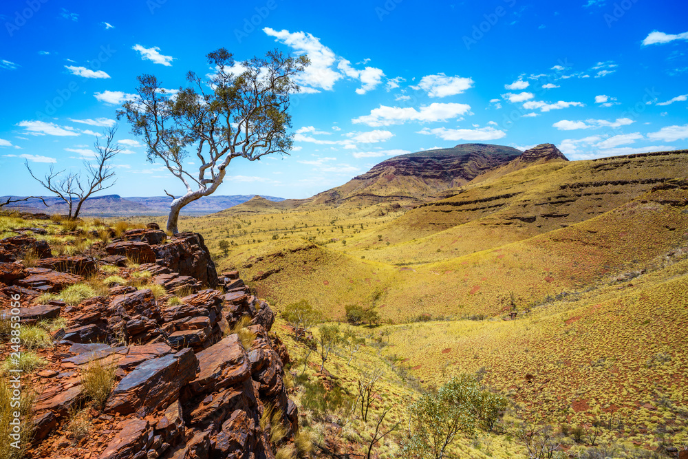 hiking on mount bruce in karijini national park, western australia 91 ...