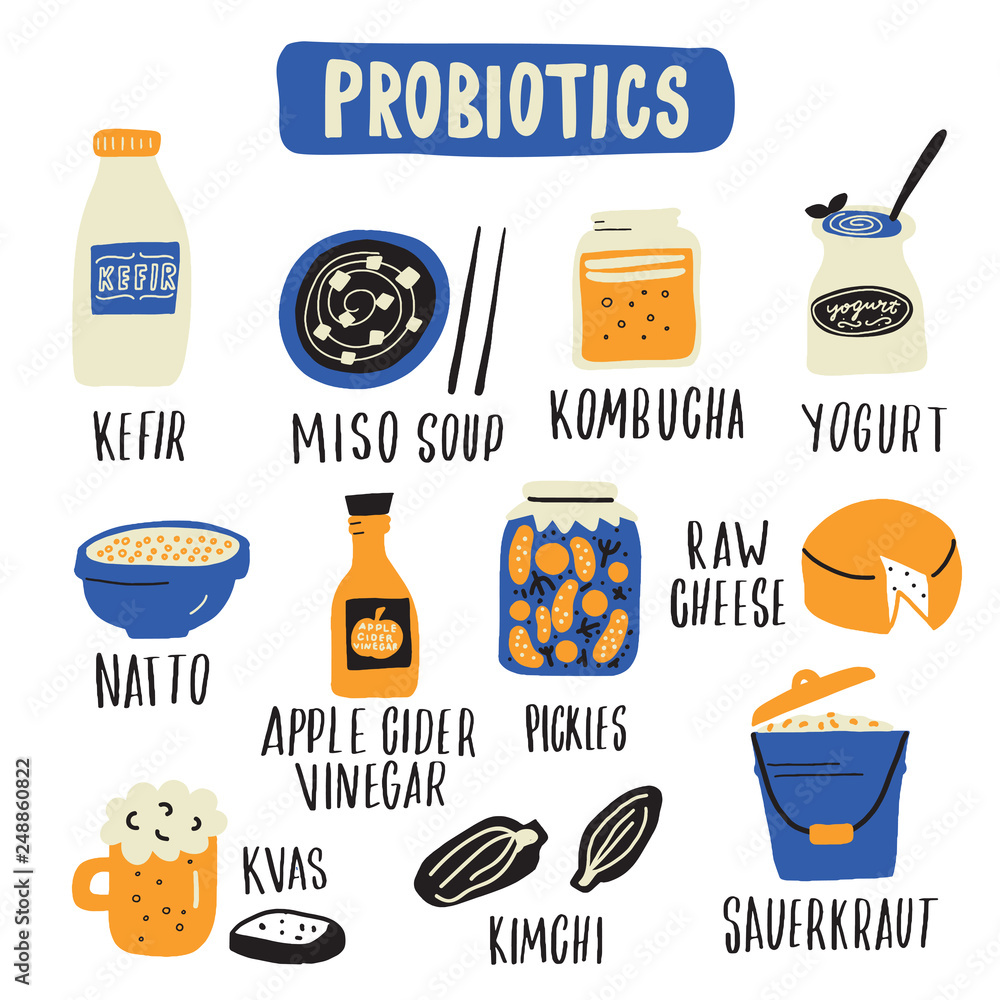 Probiotic food set. Hand drawn illlustration in doodle style. Vector ...