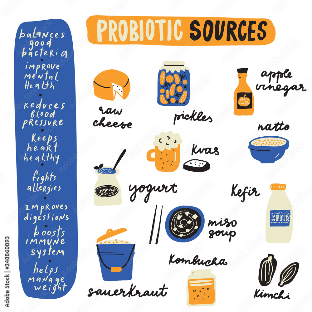 Probiotic sources. Hand drawn infographic poster with probiotic foods ...