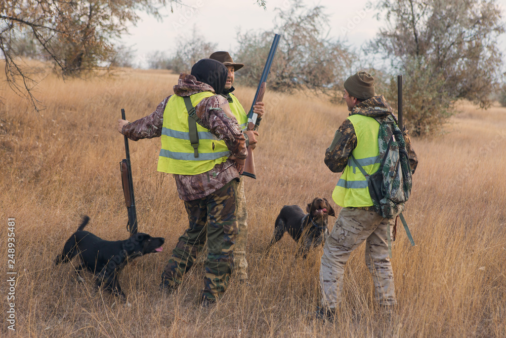 Hunter with a gun and a dog go on the first snow in the steppe, Hunting ...
