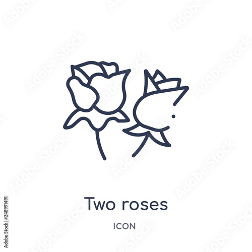 Two Roses Outline
