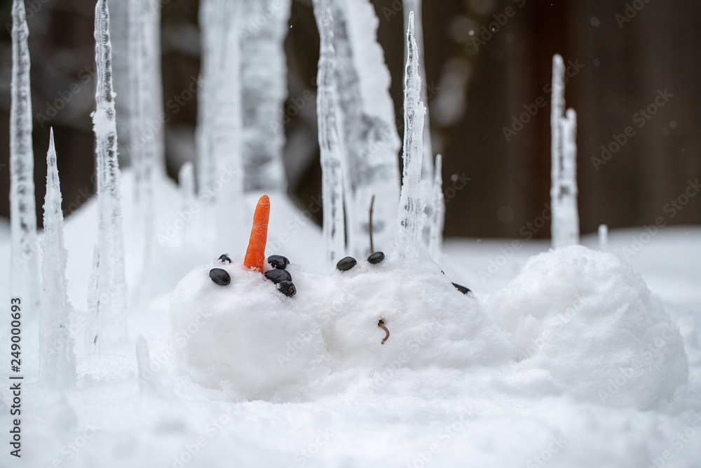 Dead Snowman
