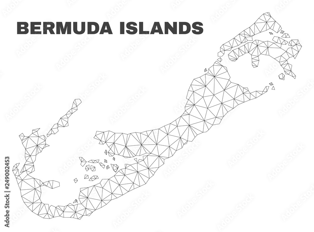 Abstract Bermuda Islands map isolated on a white background. Triangular mesh model in black ...