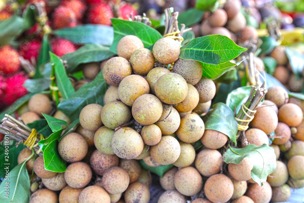 Longan Fruit Vs Lychee