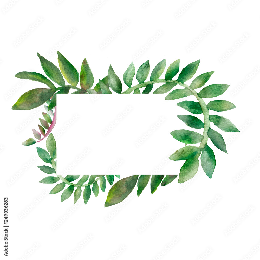 Tropical climbing plants. Watercolor rectangular frame, vine branches ...