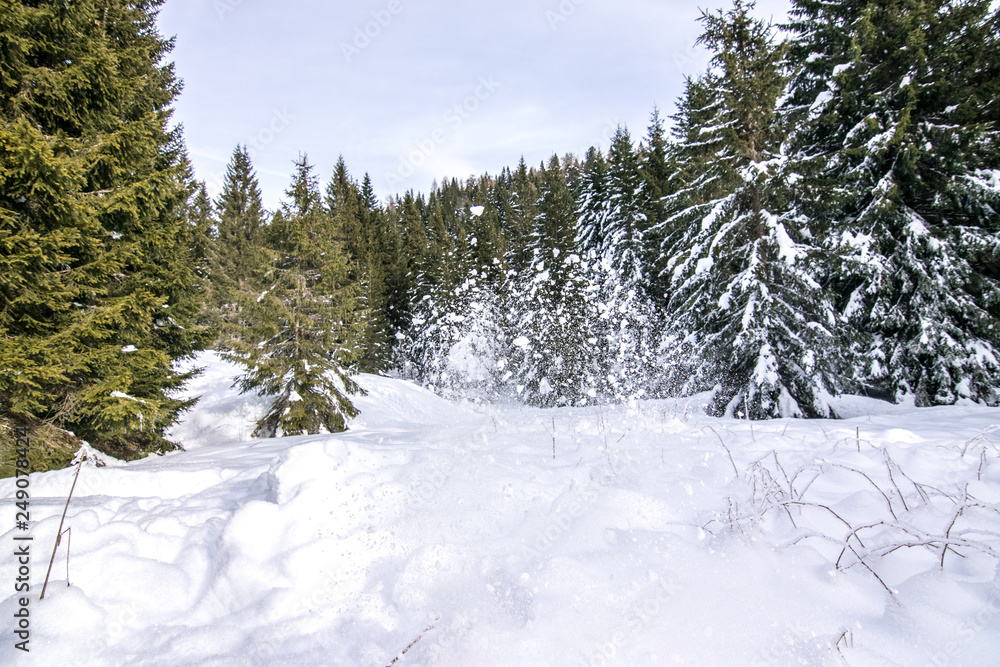 Sentieri sulla neve innevati. Paesaggio innevato sull'Altopiano di ...