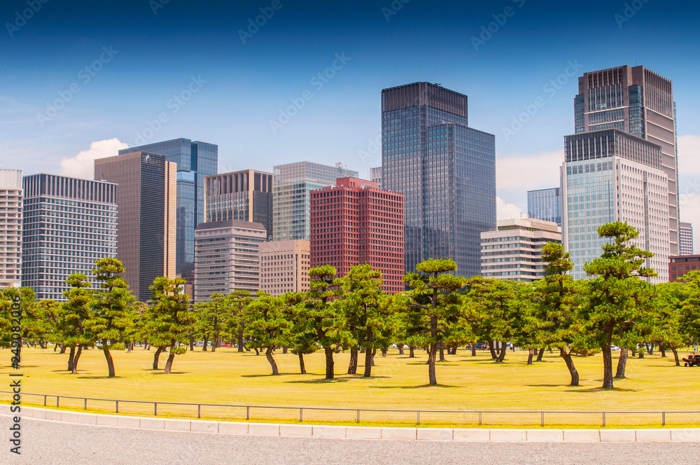 Tokyo City Building Skyline Marunouchi Area with Imperial Palace East ...