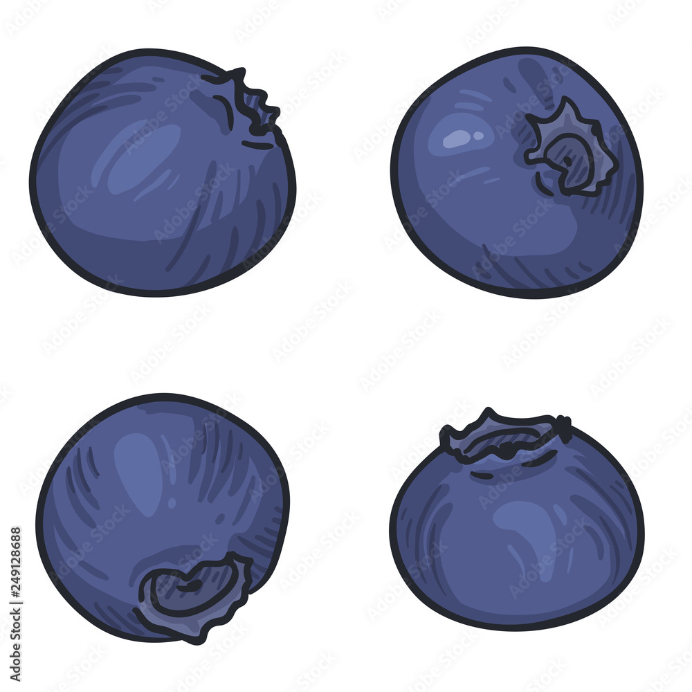 Vector Set of Cartoon Blueberry Stock Vector | Adobe Stock