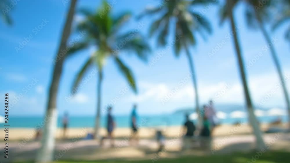 Blur view beach, palm, chairs, umbrellas. Royalty high-quality stock ...