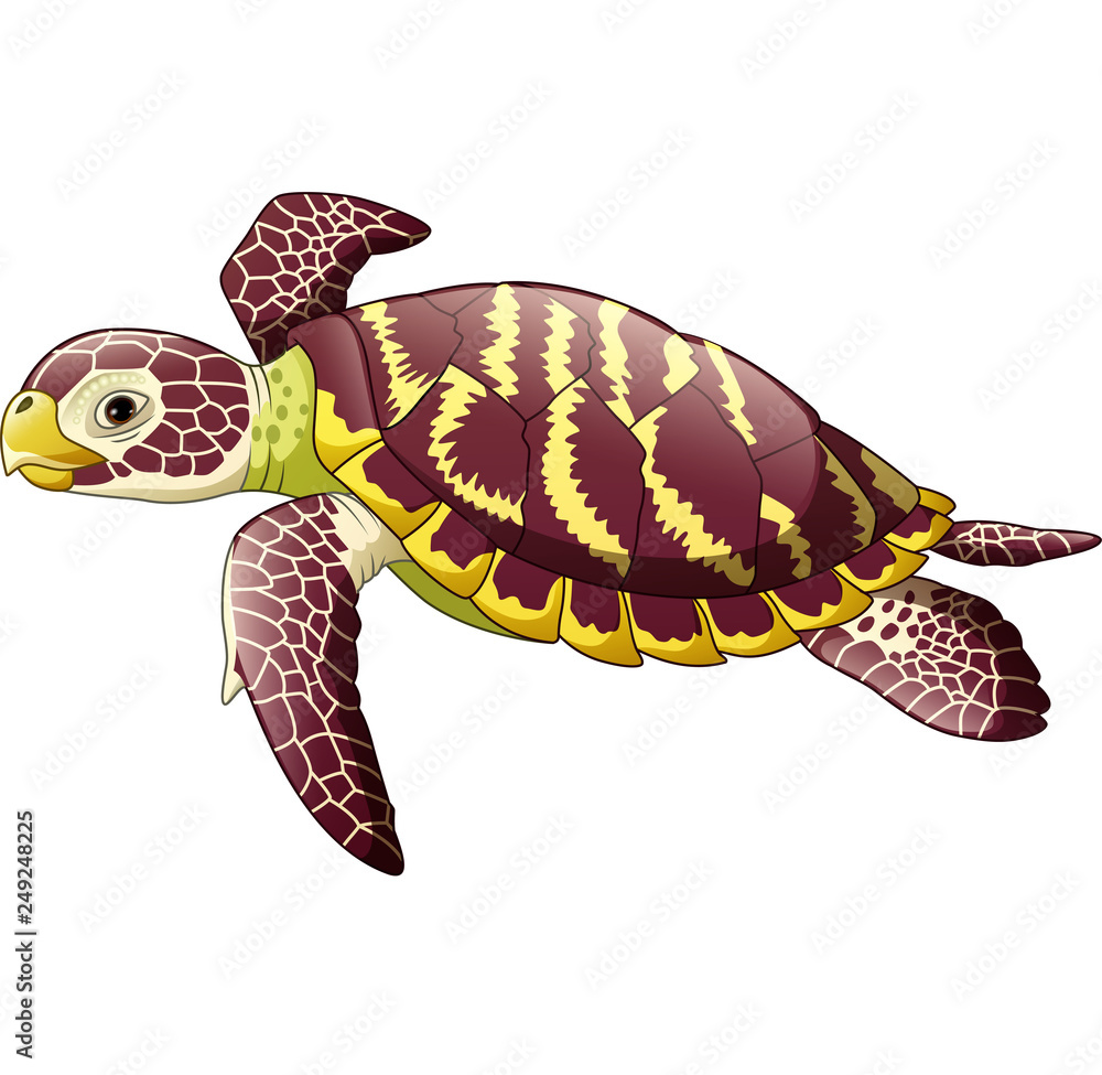 Cartoon sea turtle isolated on white background Stock Vector | Adobe Stock