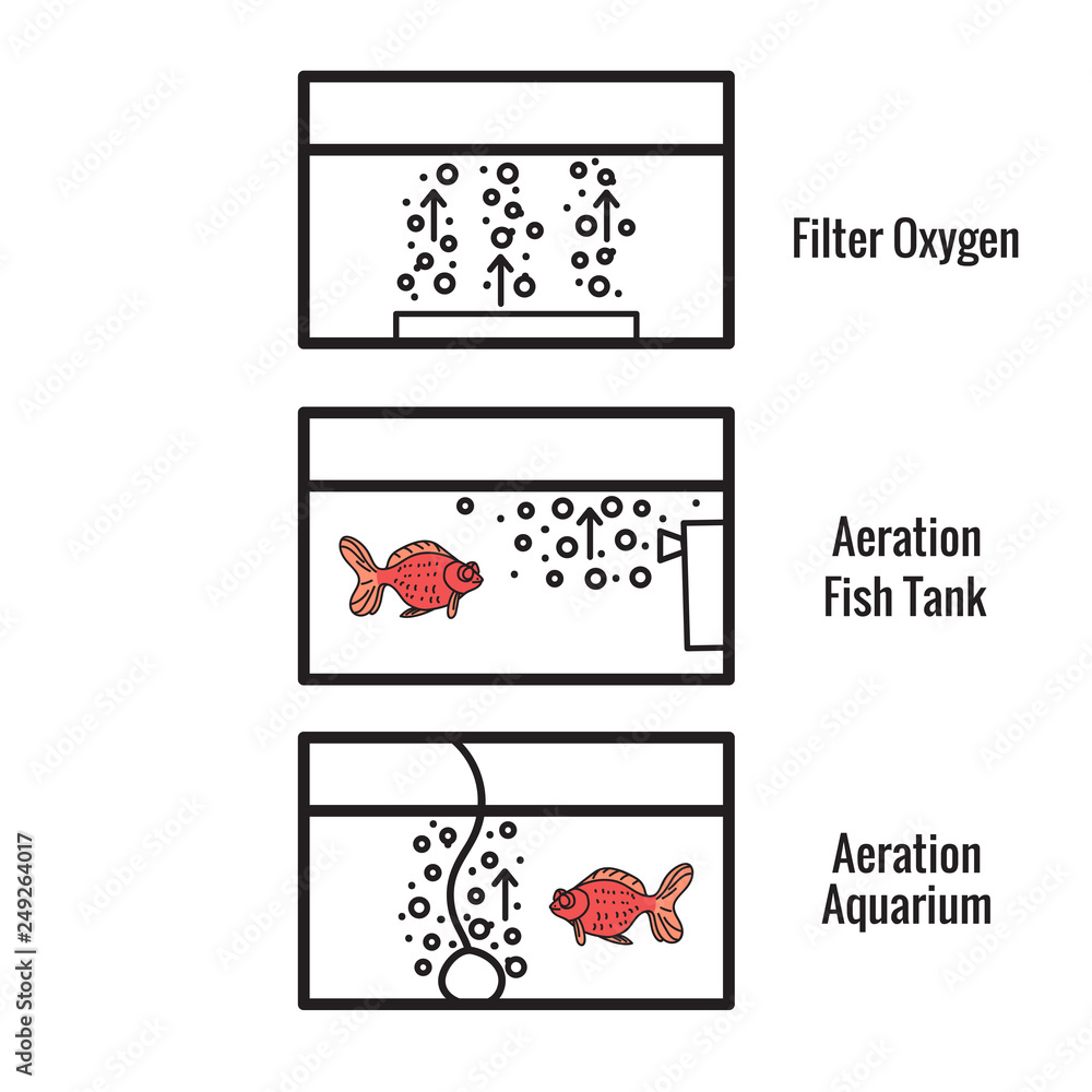Different types of bubble filters for the aquarium. The scheme is ...