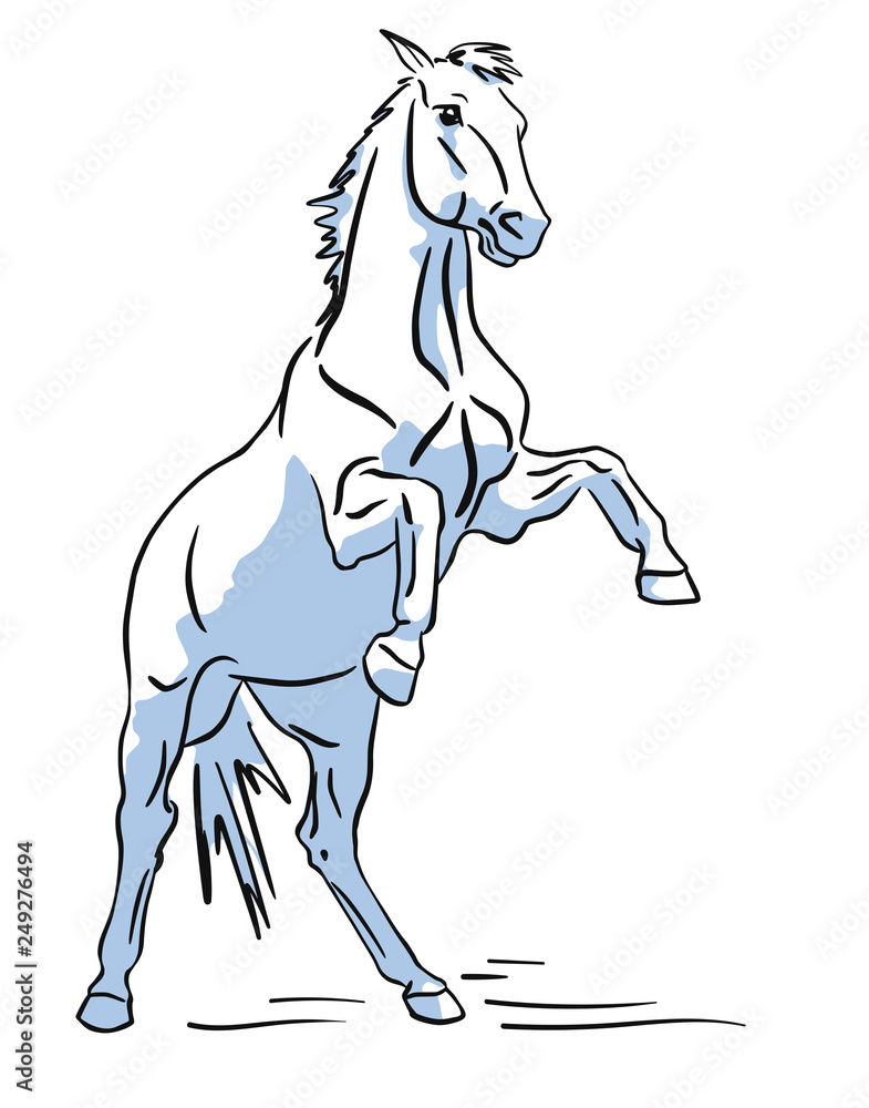 White Horse Standing On Hind Legs