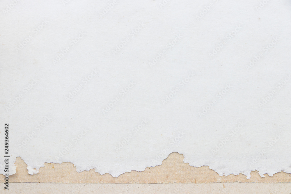 White paper with a ragged edge. The texture of the surface of the old ...