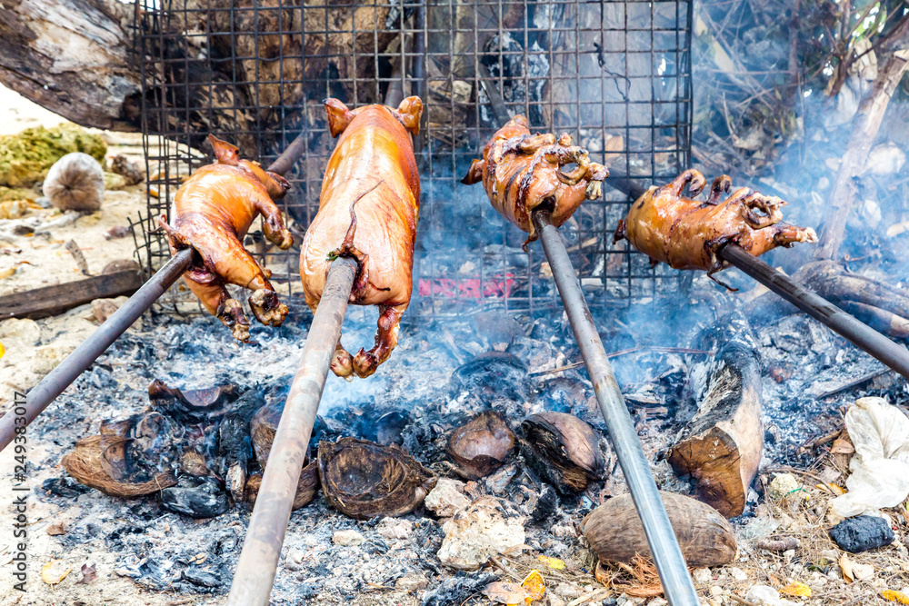 Foto de A traditional Tongan pork barbecue made of small piglets on an ...